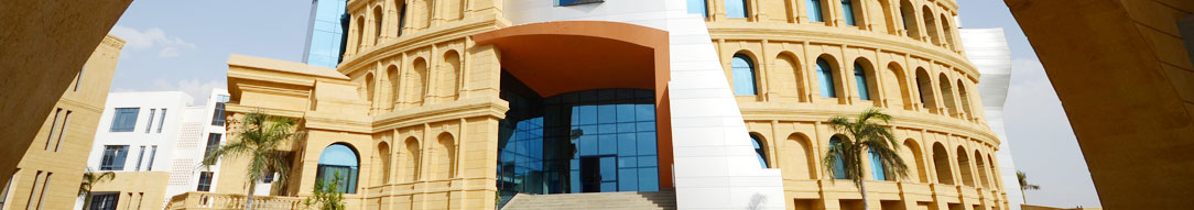 Computer Science / - FUE WebSite - Future University In E...